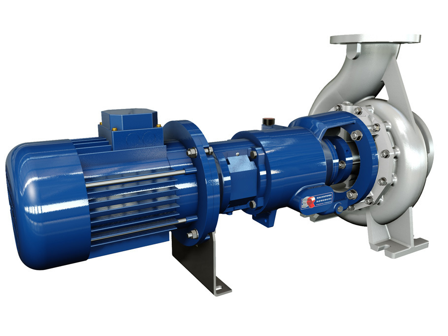 RB Centrifugal Pumps With Channel Impeller Salvatore Robuschi - Thai ...