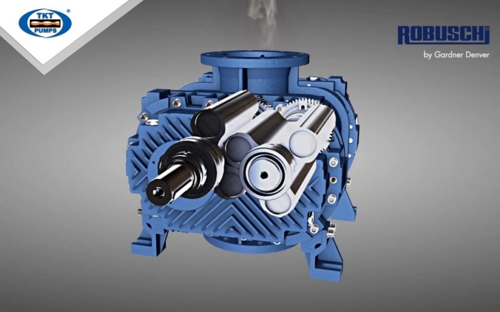 Máy Thổi Khí Công Nghiệp Robuschi RBS 2025